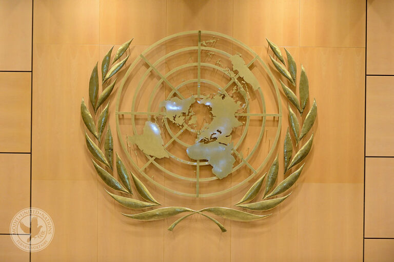 The United Nations creation – FerMUN