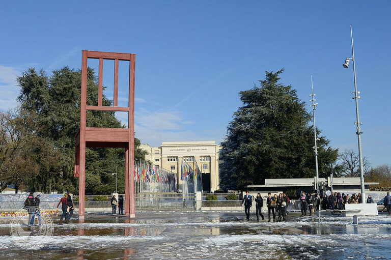 The United Nations creation – FerMUN