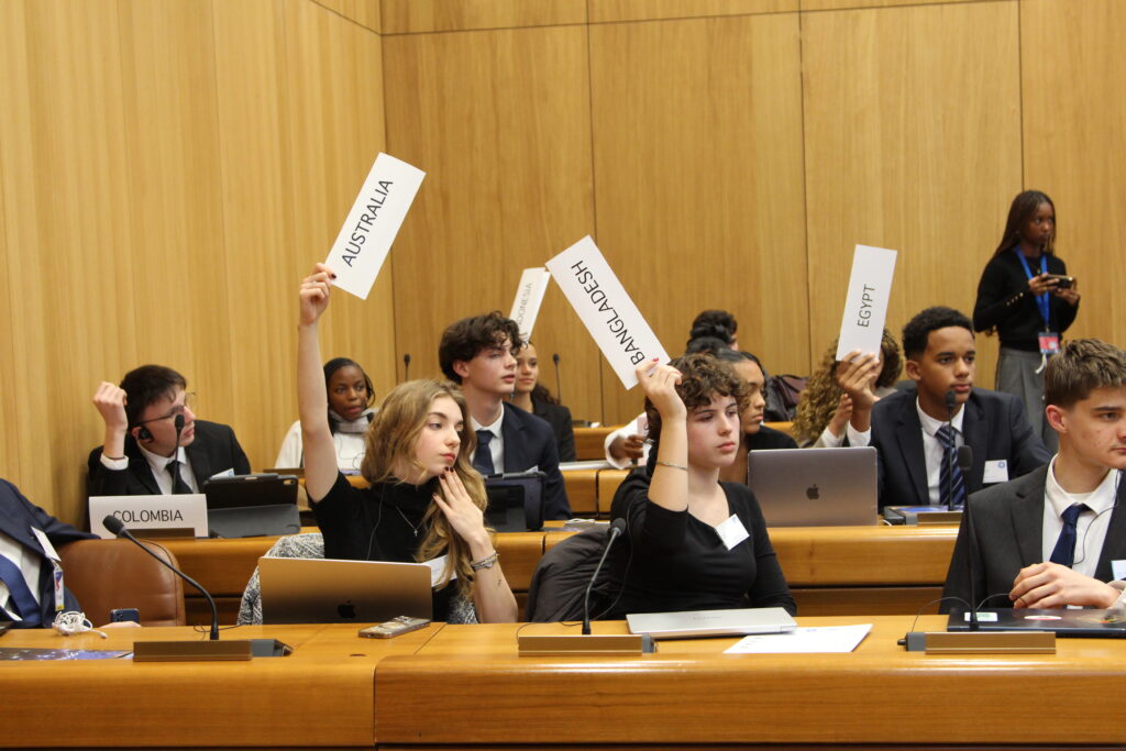 FerMUN – Model United Nations