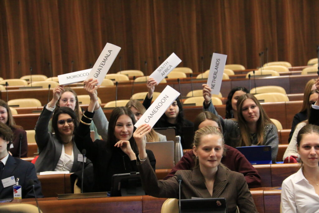 FerMUN – Model United Nations